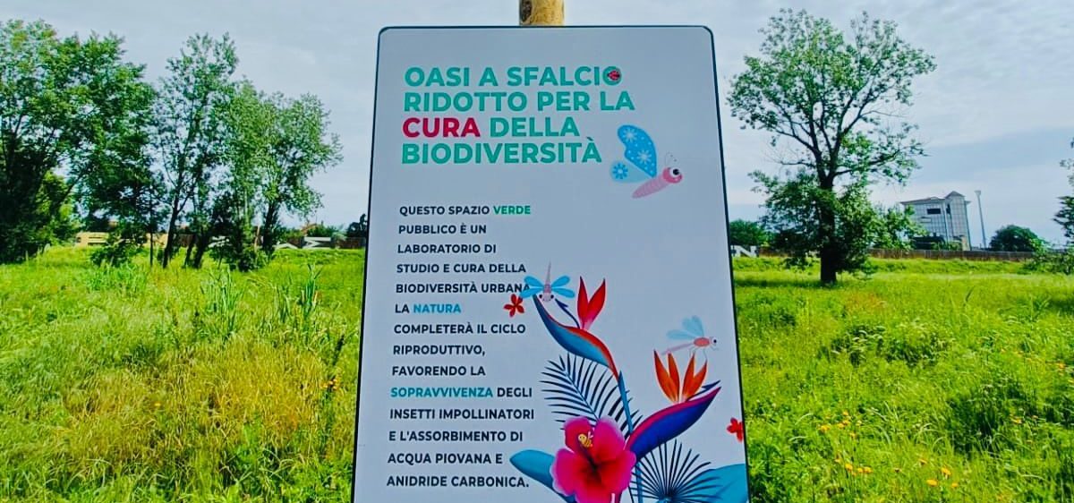 Sfalcio ridotto dei prati: «Tuteliamo la biodiversità» - Giornale di ...